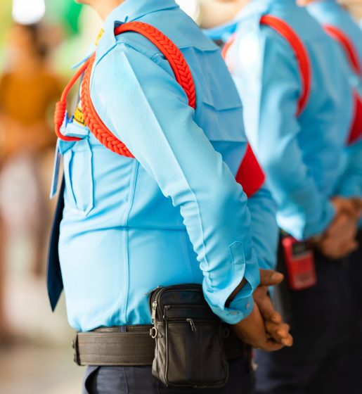 Pulse Security Services Pvt Ltd.