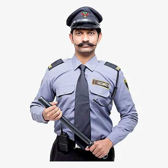 Pulse Security Services Pvt Ltd.