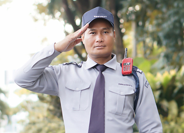 Pulse Security Services Pvt Ltd.